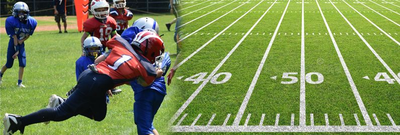 Wolverines Combine Form | Wolverines Youth Football & Cheer